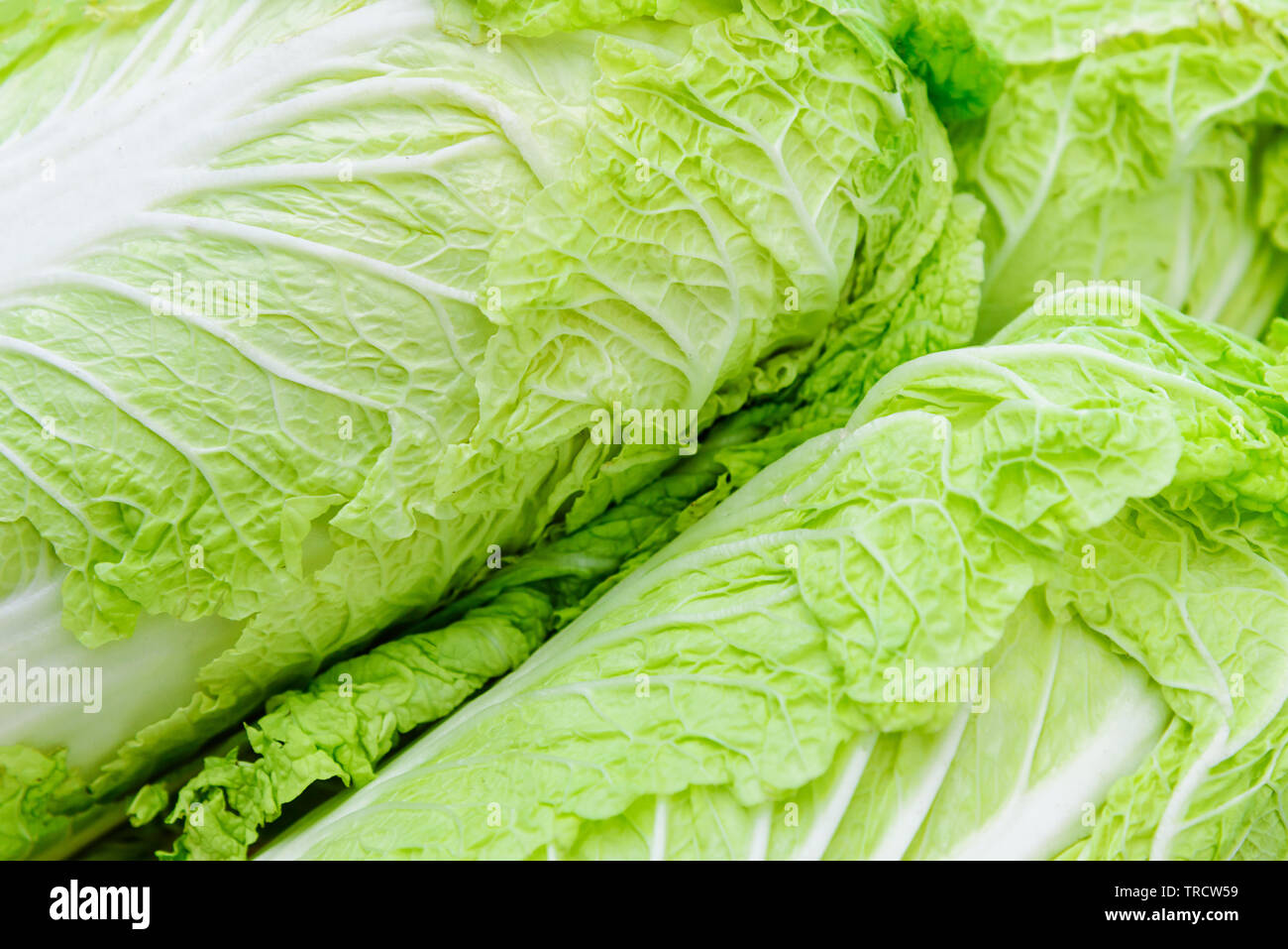 Full frame background of fresh chinese cabbages for sale on a green ...