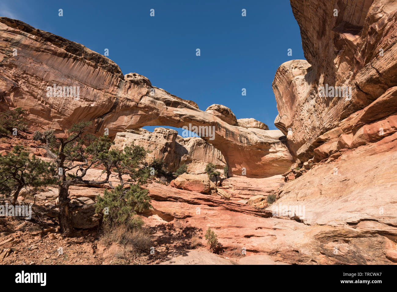 Hickman Bridge is a famous natural landmark located within Capital Reef ...