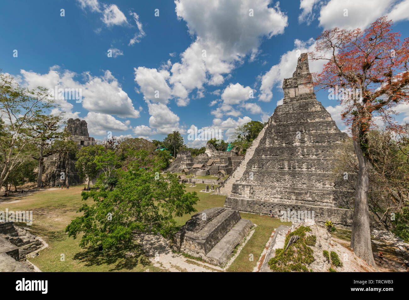 Ancient Mayan Pyramids at Tikal National Park, in Guatemala Stock Photo ...