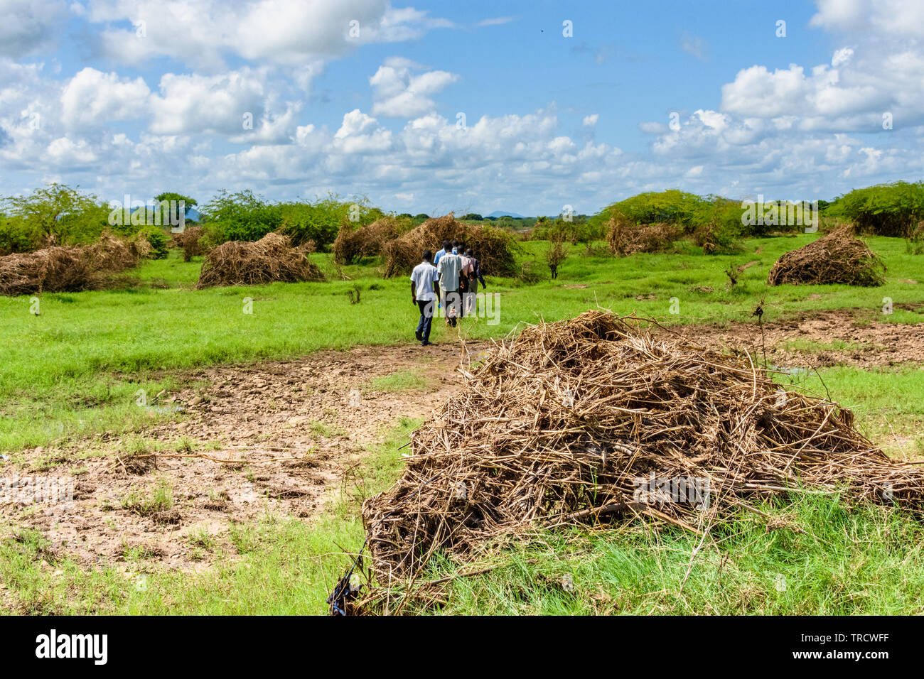 men walk across saturated field that has been cleared of any crop by ...