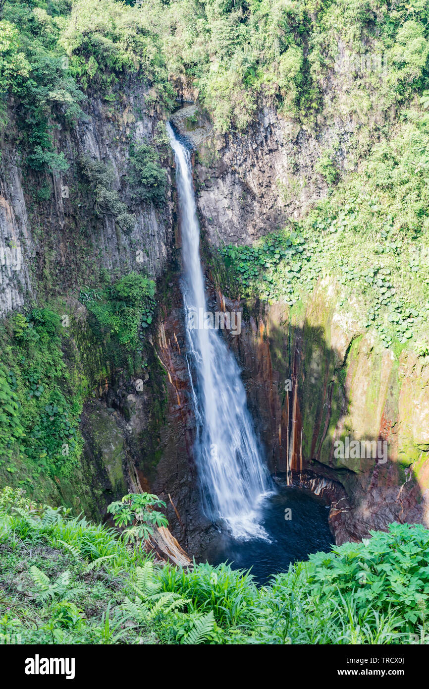 Beautiful and lush tropical landscape with the spectacular Catarata Del ...