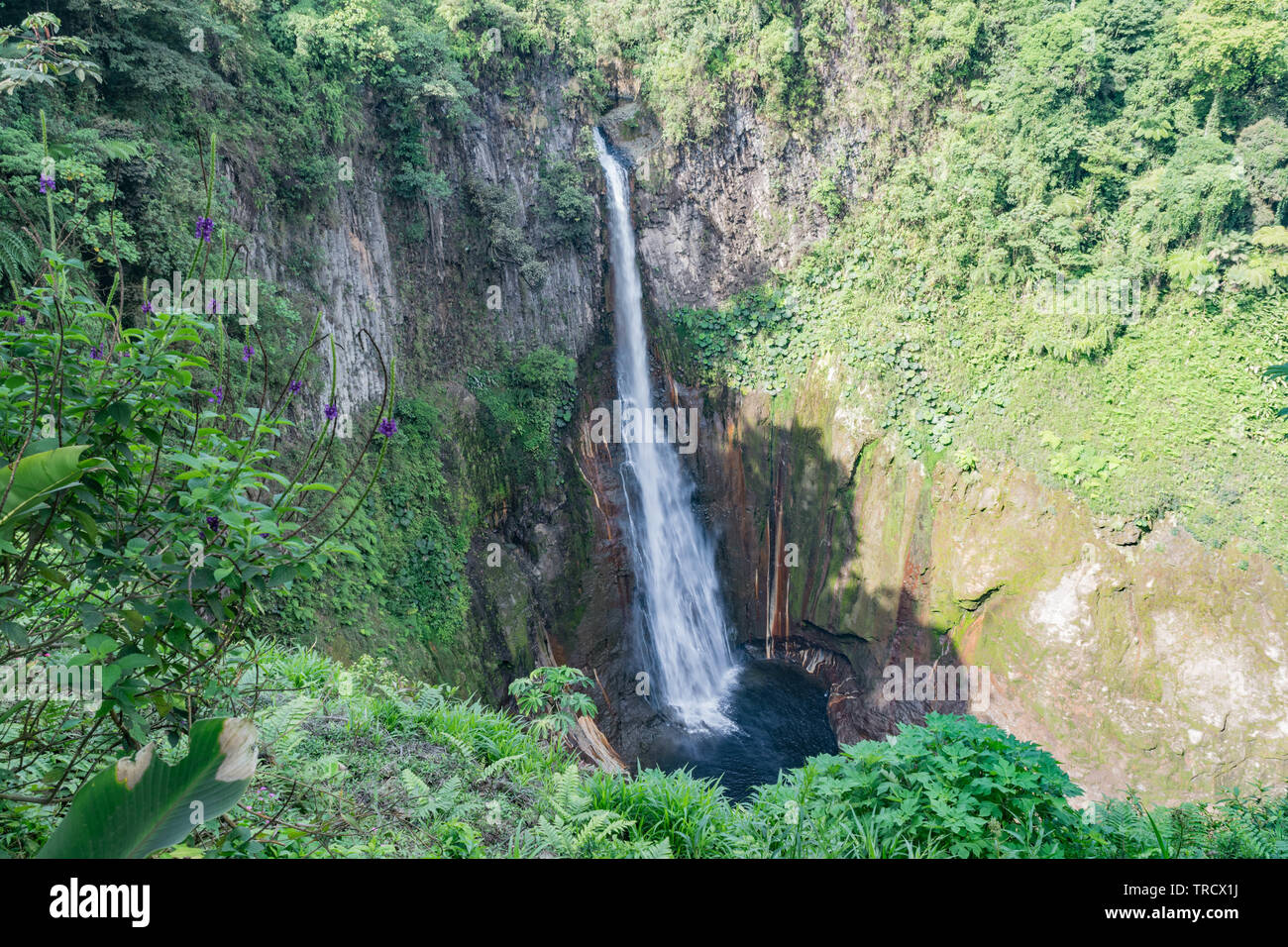 Beautiful and lush tropical landscape with the spectacular Catarata Del ...