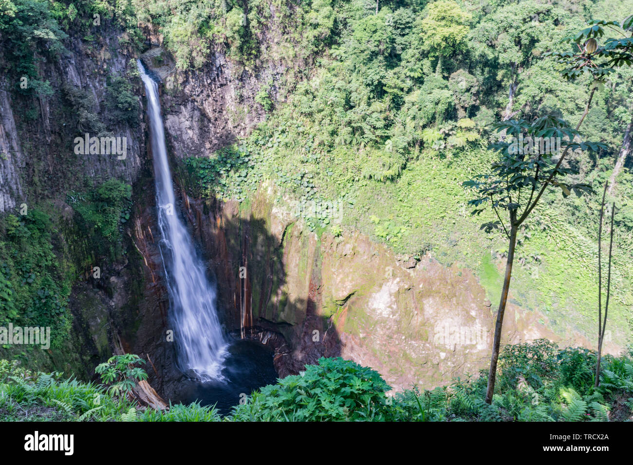Beautiful and lush tropical landscape with the spectacular Catarata Del ...