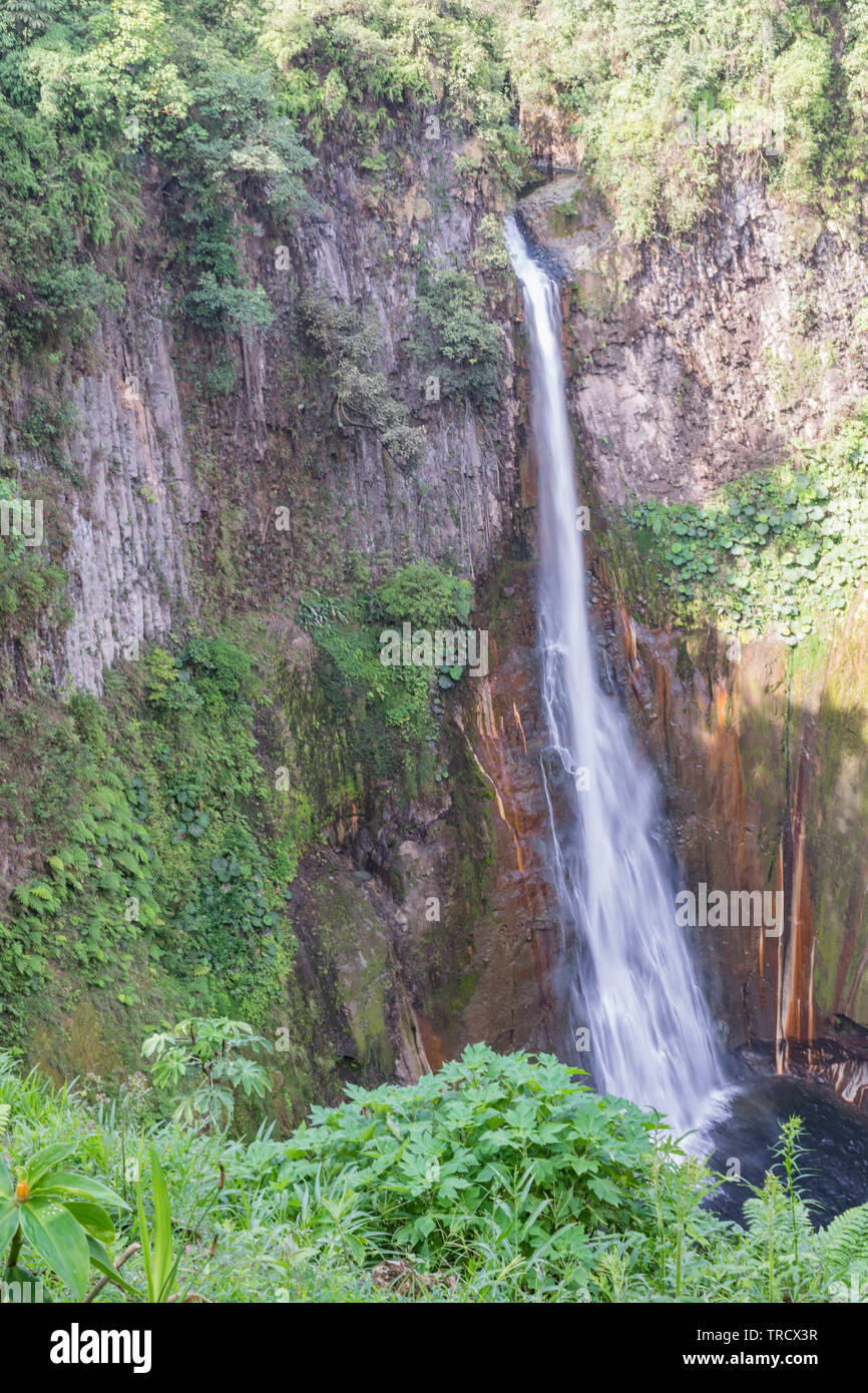 Beautiful and lush tropical landscape with the spectacular Catarata Del ...