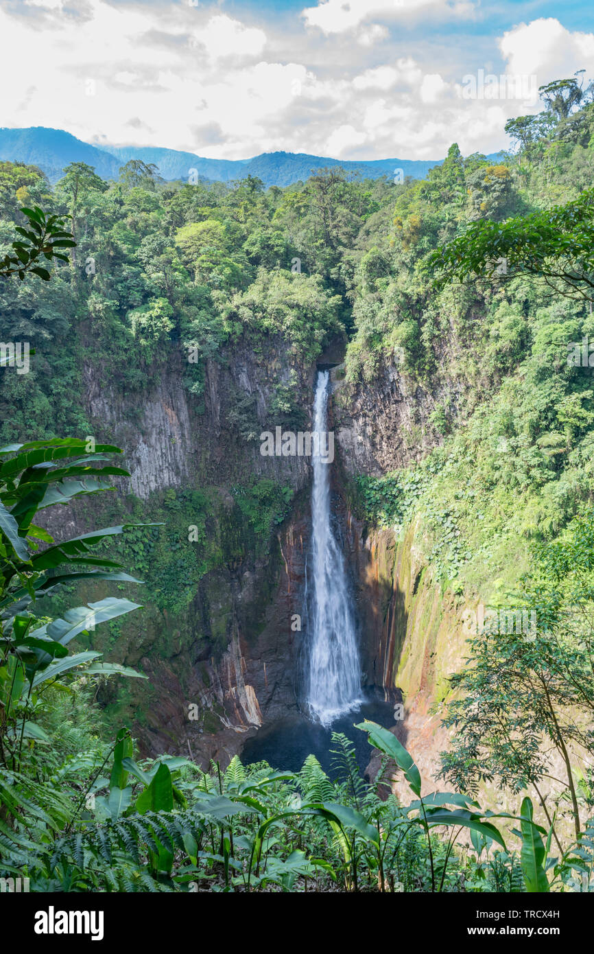 Beautiful and lush tropical landscape with the spectacular Catarata Del ...