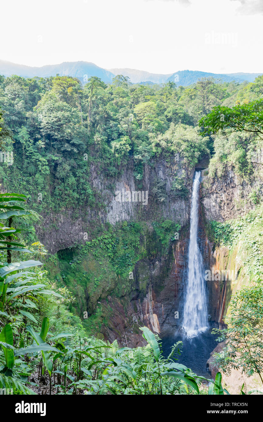 Beautiful and lush tropical landscape with the spectacular Catarata Del ...