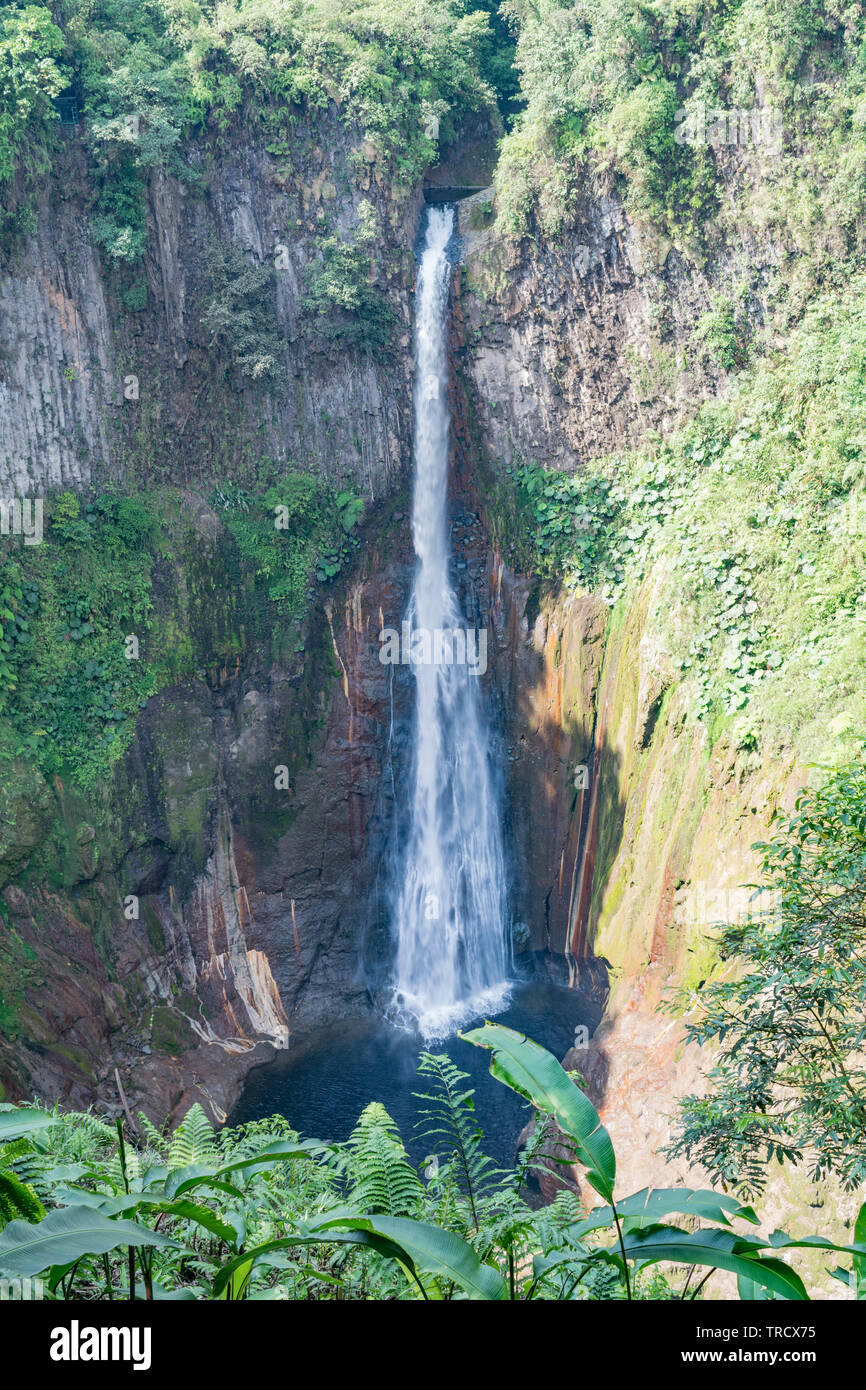 Beautiful and lush tropical landscape with the spectacular Catarata Del ...