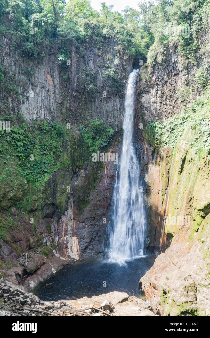 Beautiful and lush tropical landscape with the spectacular Catarata Del ...