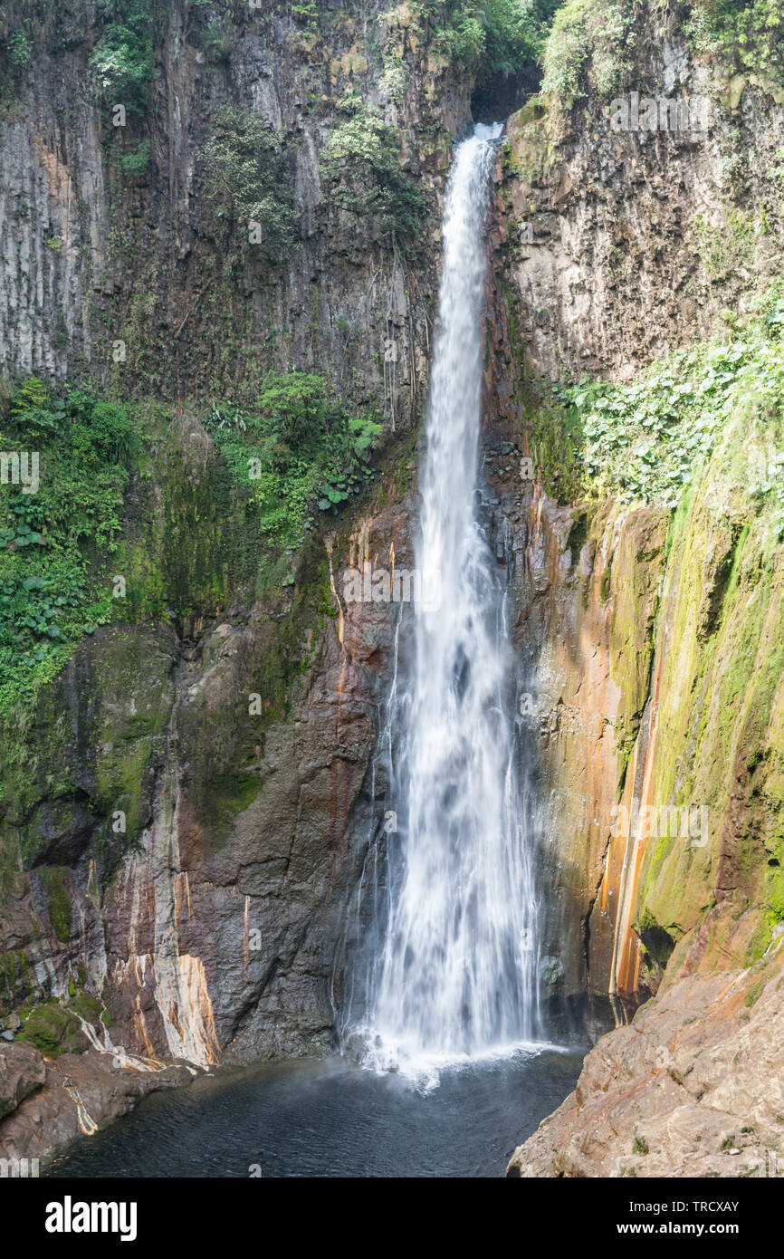 Beautiful and lush tropical landscape with the spectacular Catarata Del ...