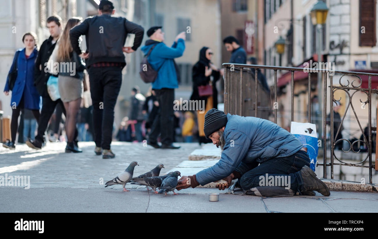 Homeless man with pigeons hi-res stock photography and images - Alamy