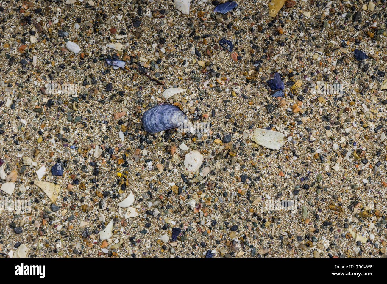 Ground view beach hi-res stock photography and images - Alamy