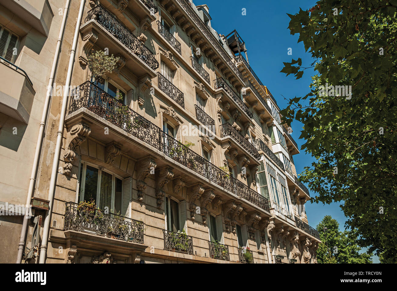 Leafy trees under sunny blue sky and building made in Parisian style at ...
