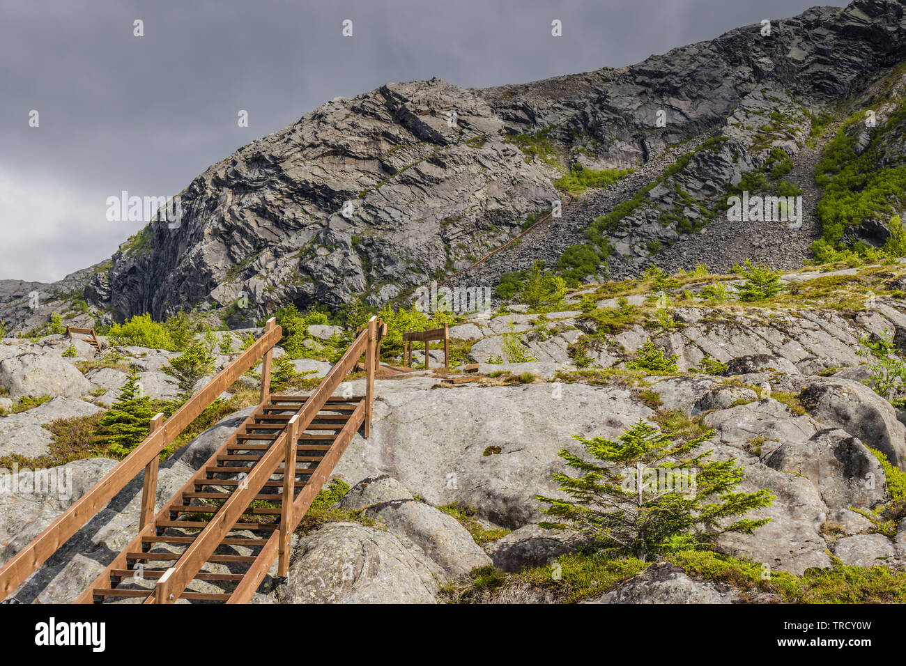 New stairway climbing Mount Gullsvagfjellet, Vega Island, Norway Stock ...