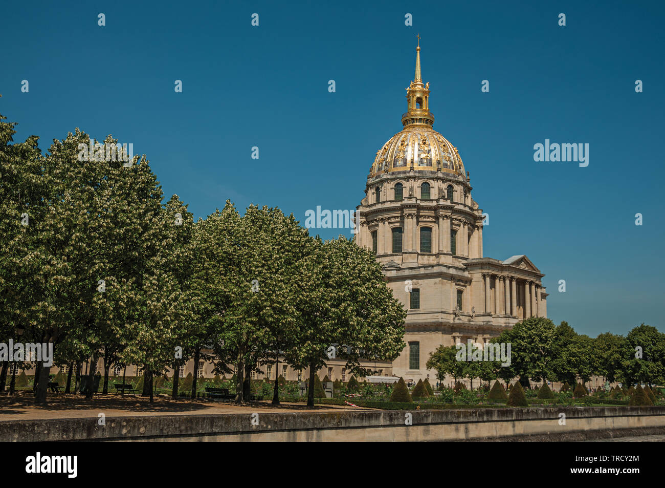 Trees in the gardens of Les Invalides Palace with the golden dome in ...