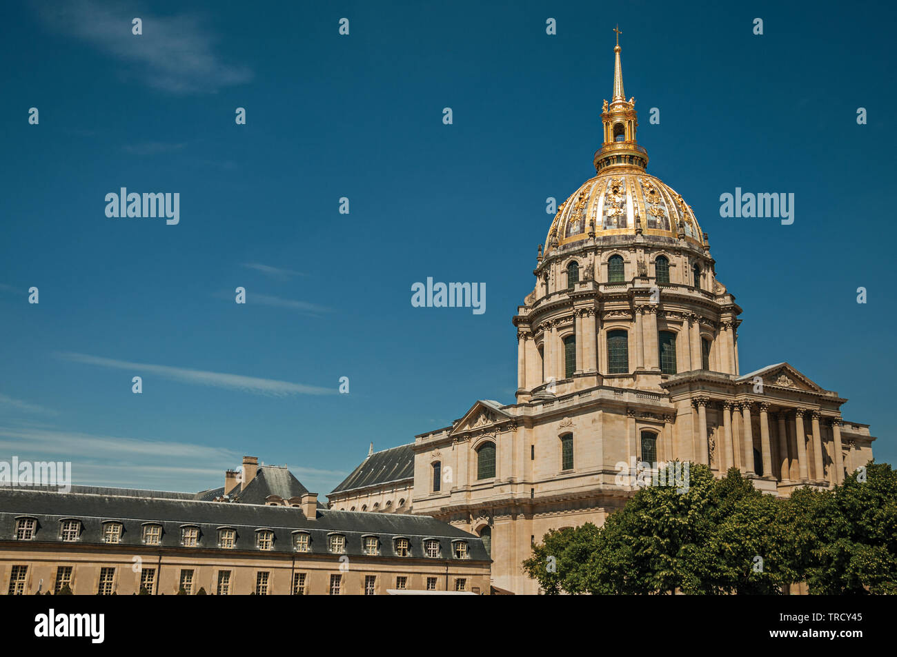 Trees in the gardens of Les Invalides Palace with the golden dome in ...