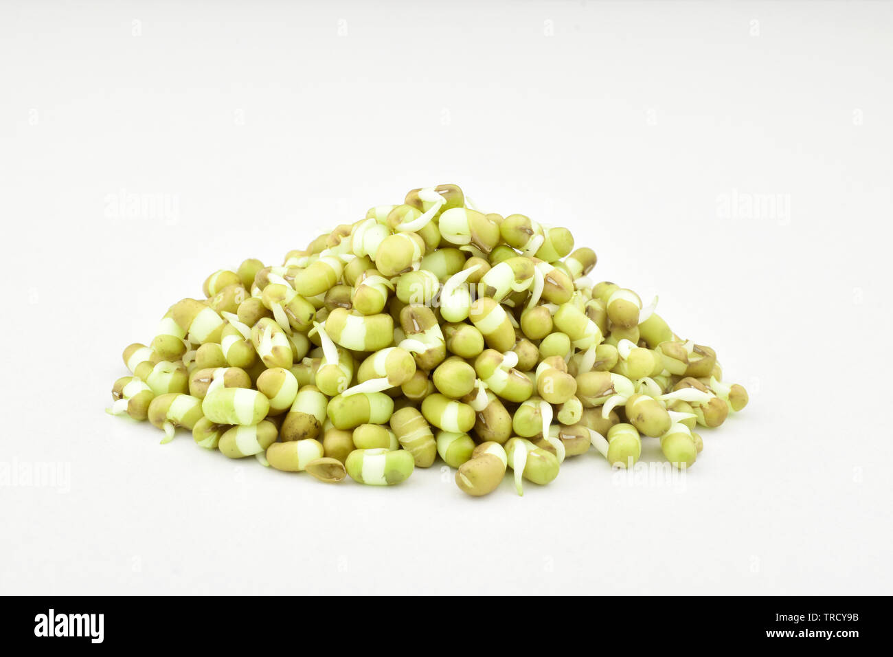 Sprouted mung beans on isolated white background Stock Photo - Alamy
