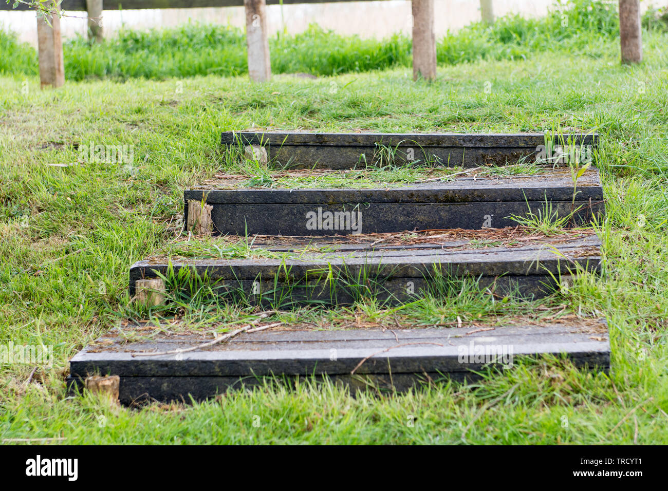 Wooden steps up steep hill hi-res stock photography and images - Alamy