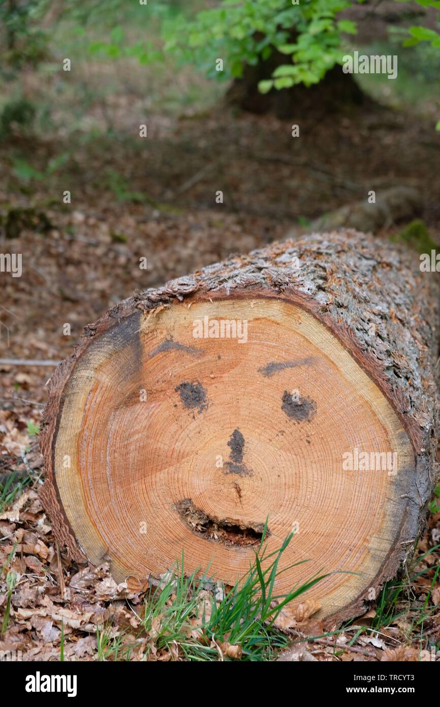Cut tree with drawn smile on it Stock Photo - Alamy