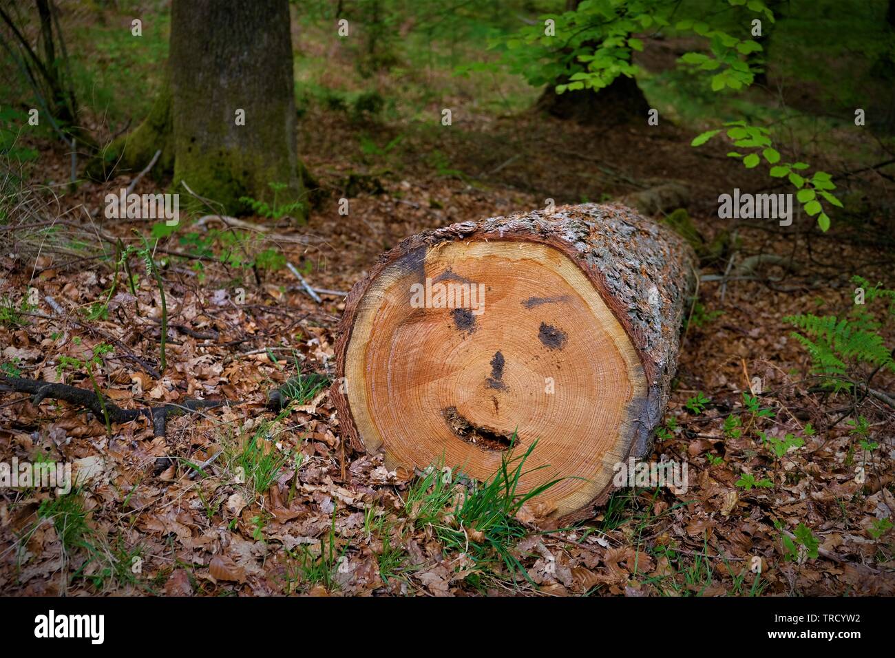 Smiley tree hi-res stock photography and images - Alamy