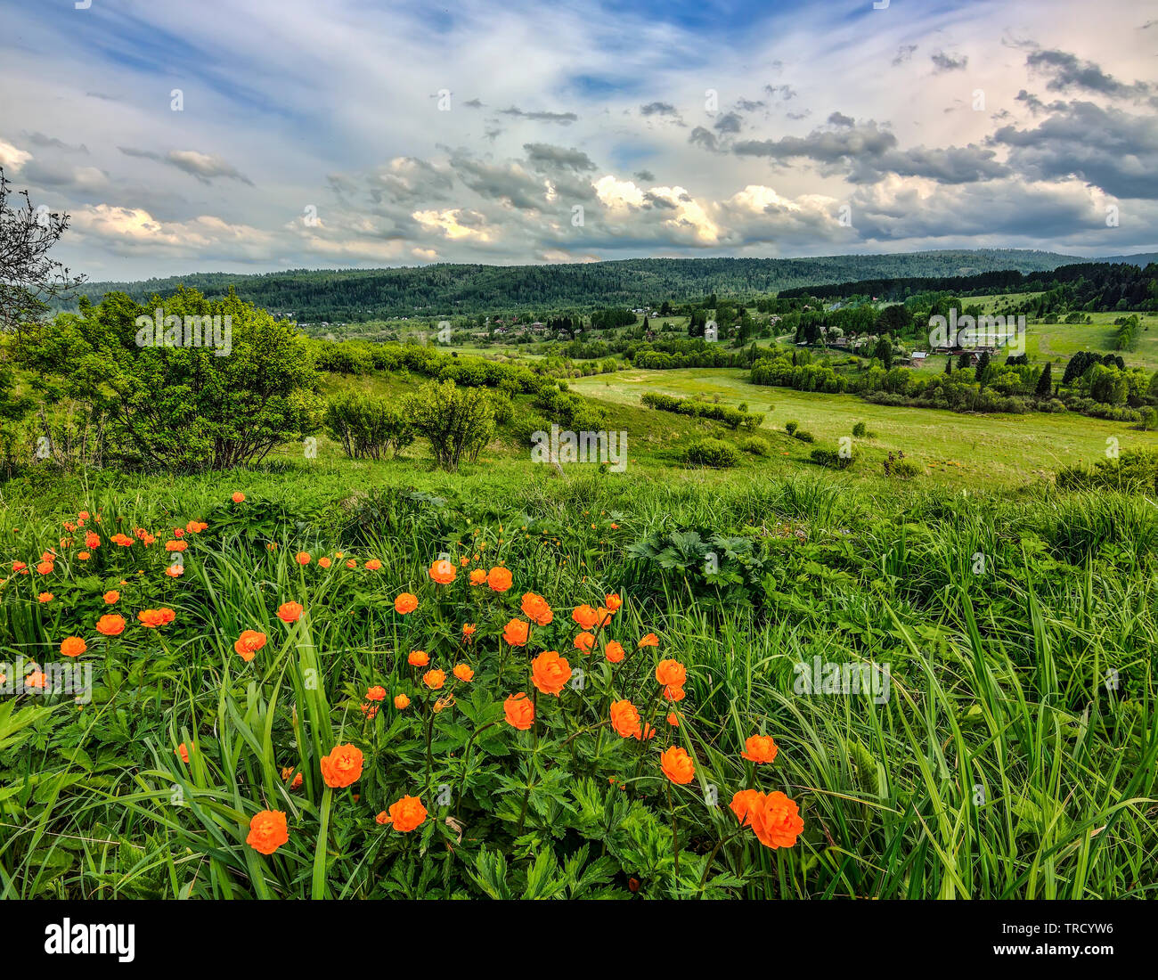 Colorful flowers on the hill hi-res stock photography and images - Alamy