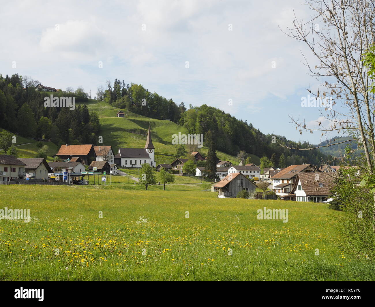 Fischenthal, Gemeinde Hinwil, Kanton Zürich, Schweiz Stock Photo - Alamy