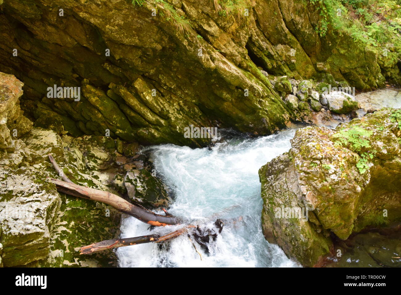 Vintgar Gorge near Lake Bled, Slovenia Stock Photo - Alamy