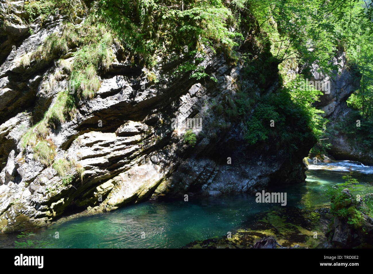 Vintgar Gorge near Lake Bled, Slovenia Stock Photo - Alamy