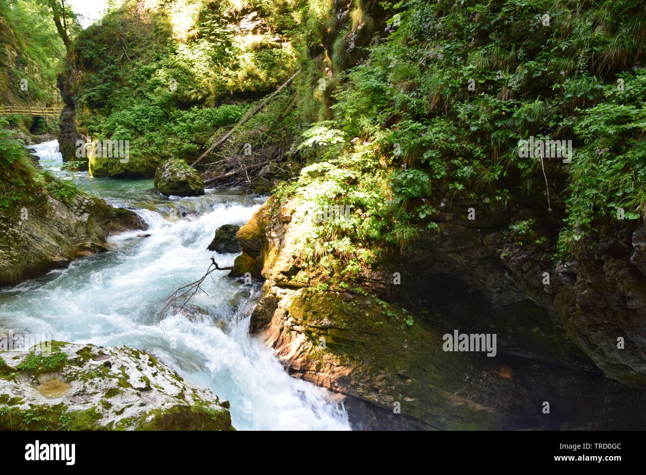 Vintgar Gorge near Lake Bled, Slovenia Stock Photo - Alamy