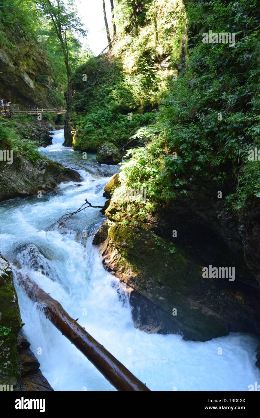 Vintgar Gorge near Lake Bled, Slovenia Stock Photo - Alamy