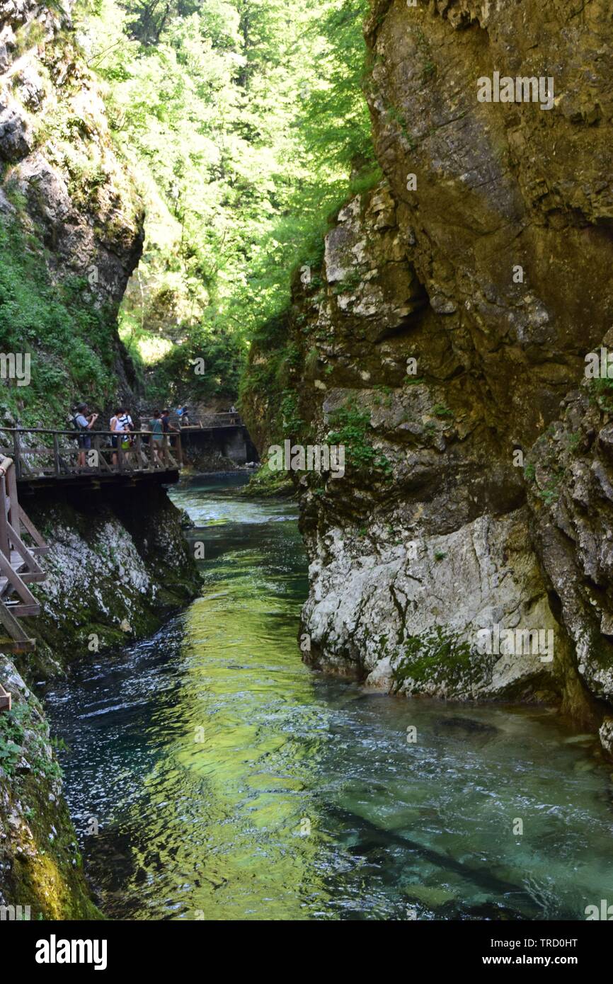 Vintgar Gorge near Lake Bled, Slovenia Stock Photo - Alamy