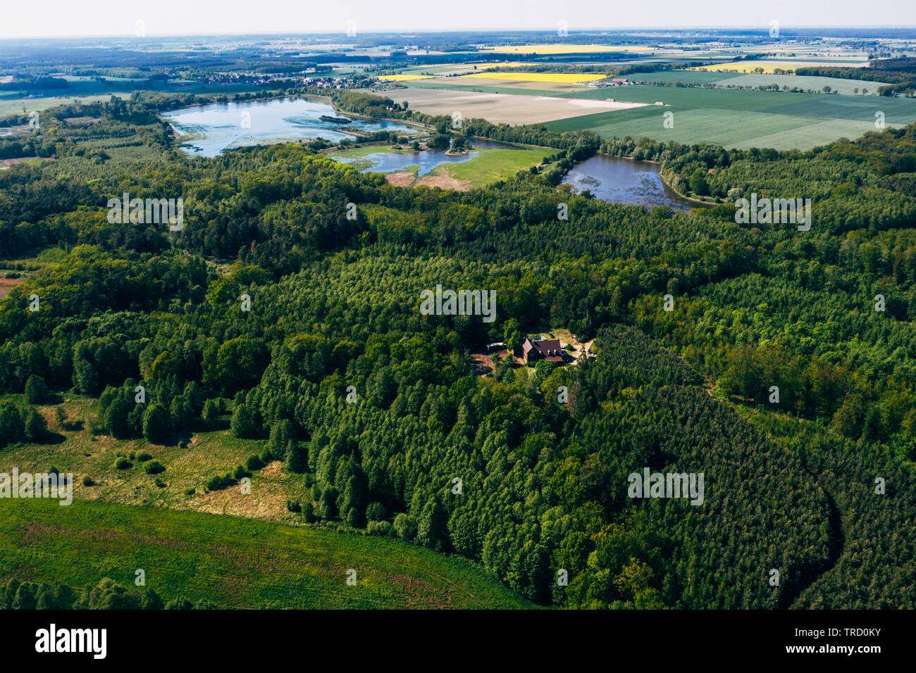 Aerial view of the lakes/ponds in the natural reservoir of Bird's in ...