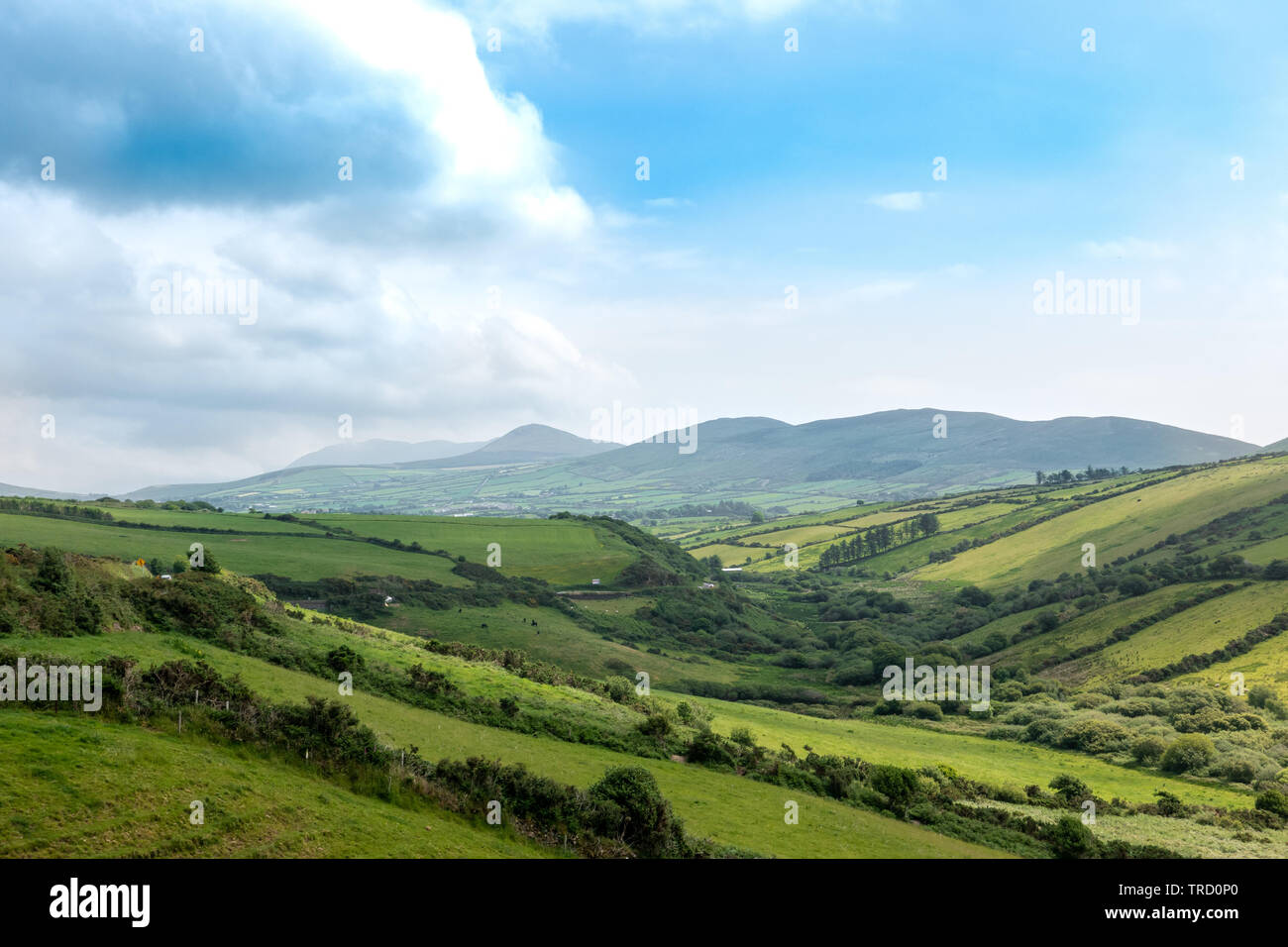 Bogs High Resolution Stock Photography and Images - Alamy