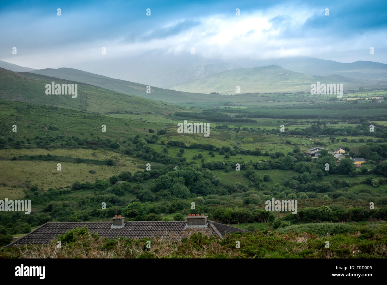Bogs High Resolution Stock Photography and Images - Alamy