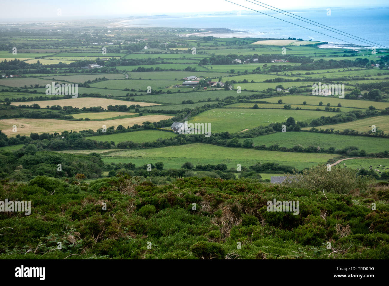 Irish wetlands hi-res stock photography and images - Alamy
