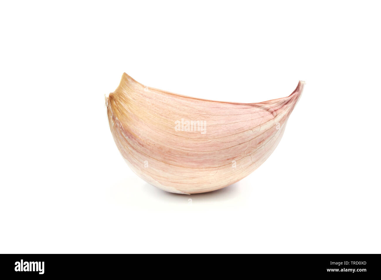 Single clove of garlic isolated on white background in close-up Stock ...