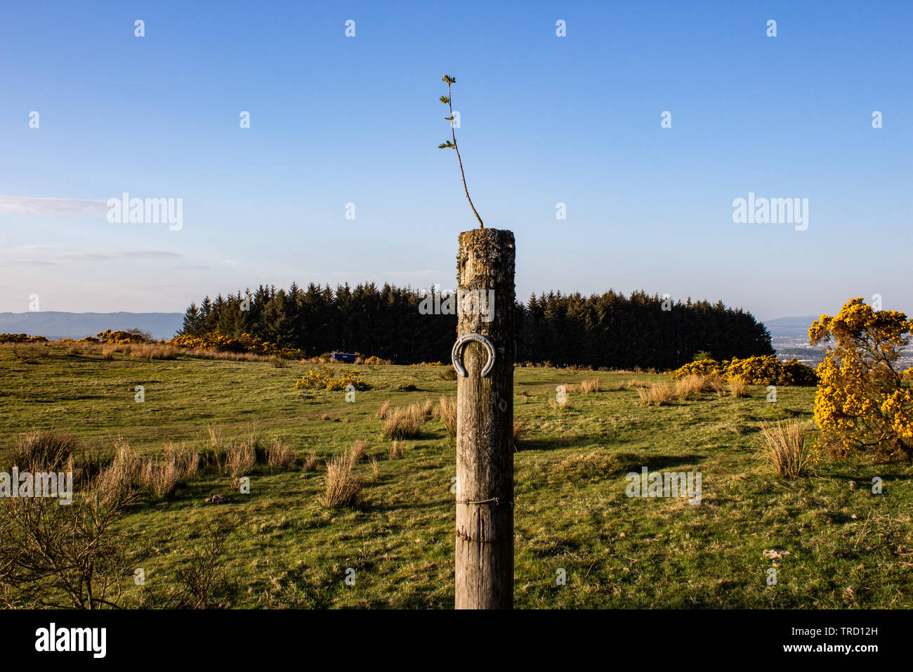 Ironic photograph hi-res stock photography and images - Alamy