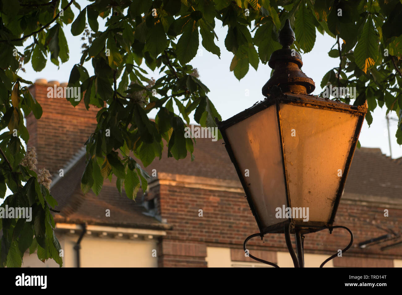 Victorian cambridge street lamp hi-res stock photography and images - Alamy