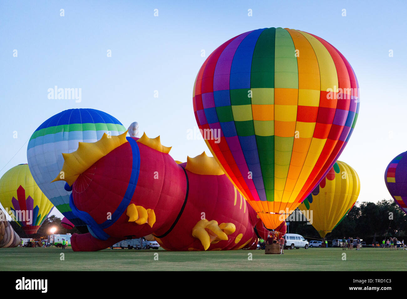 Balloon glow at the 2019 Villages Polo Club Hot Air Balloon Festival ...