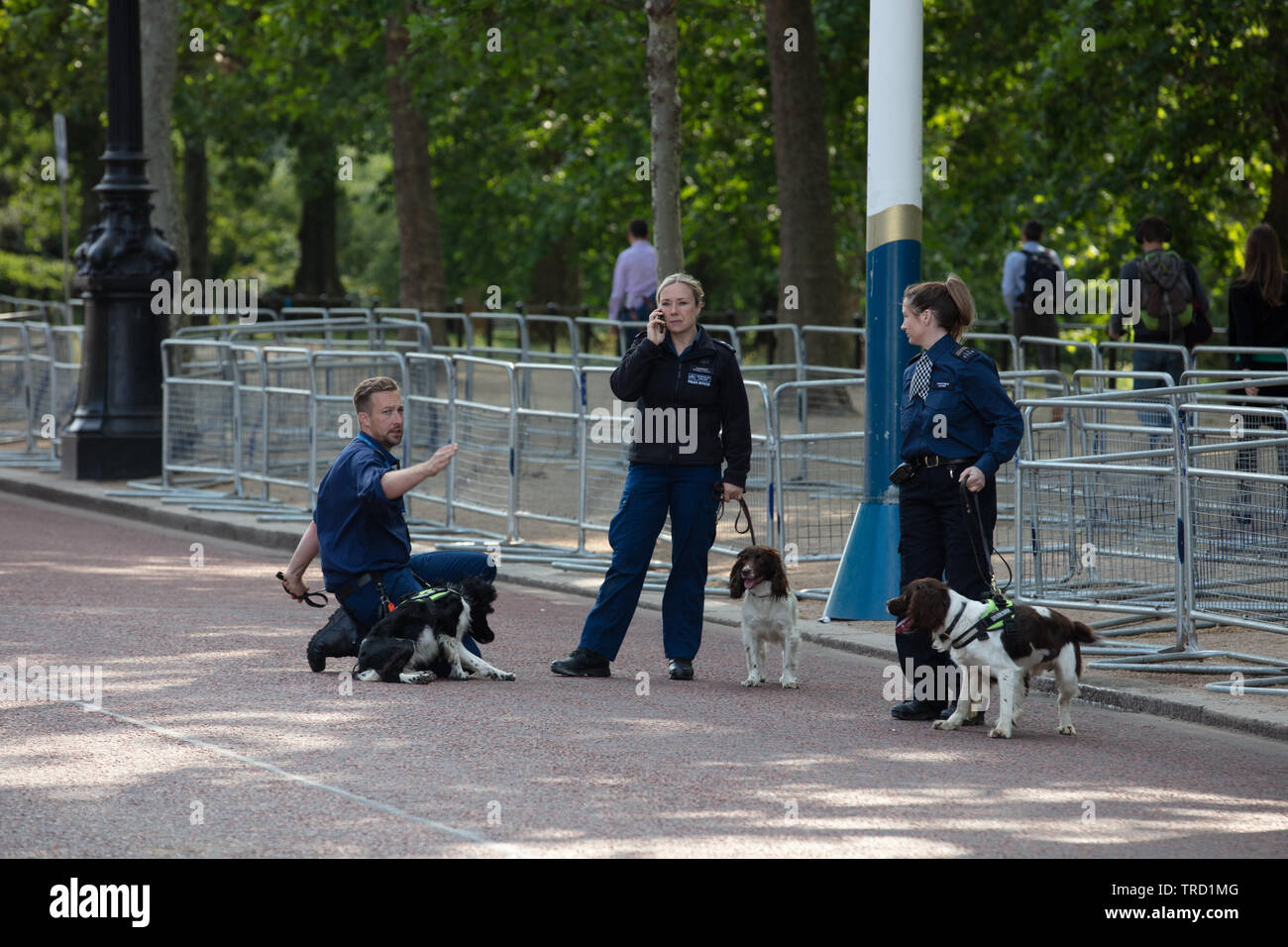 Met police dog hi-res stock photography and images - Alamy