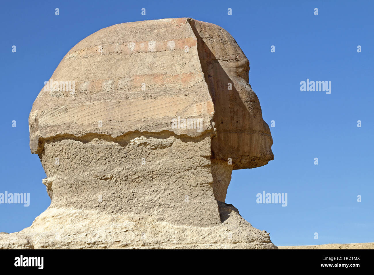 The Great Sphinx of Giza Egypt Profile Close up Stock Photo - Alamy