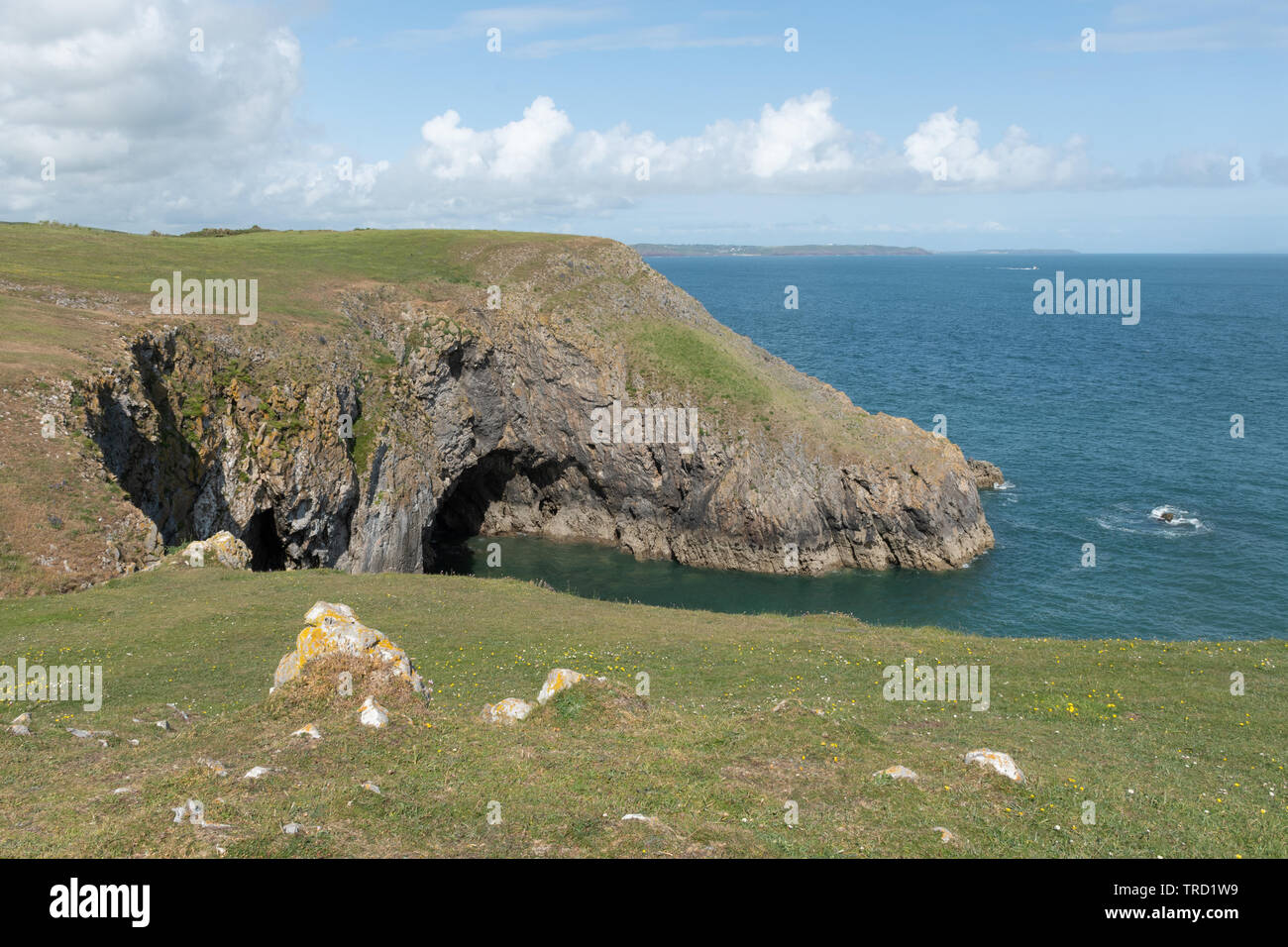 Pembrokeshire coast near Stackpole Quay in Wales, with coastal cliff ...