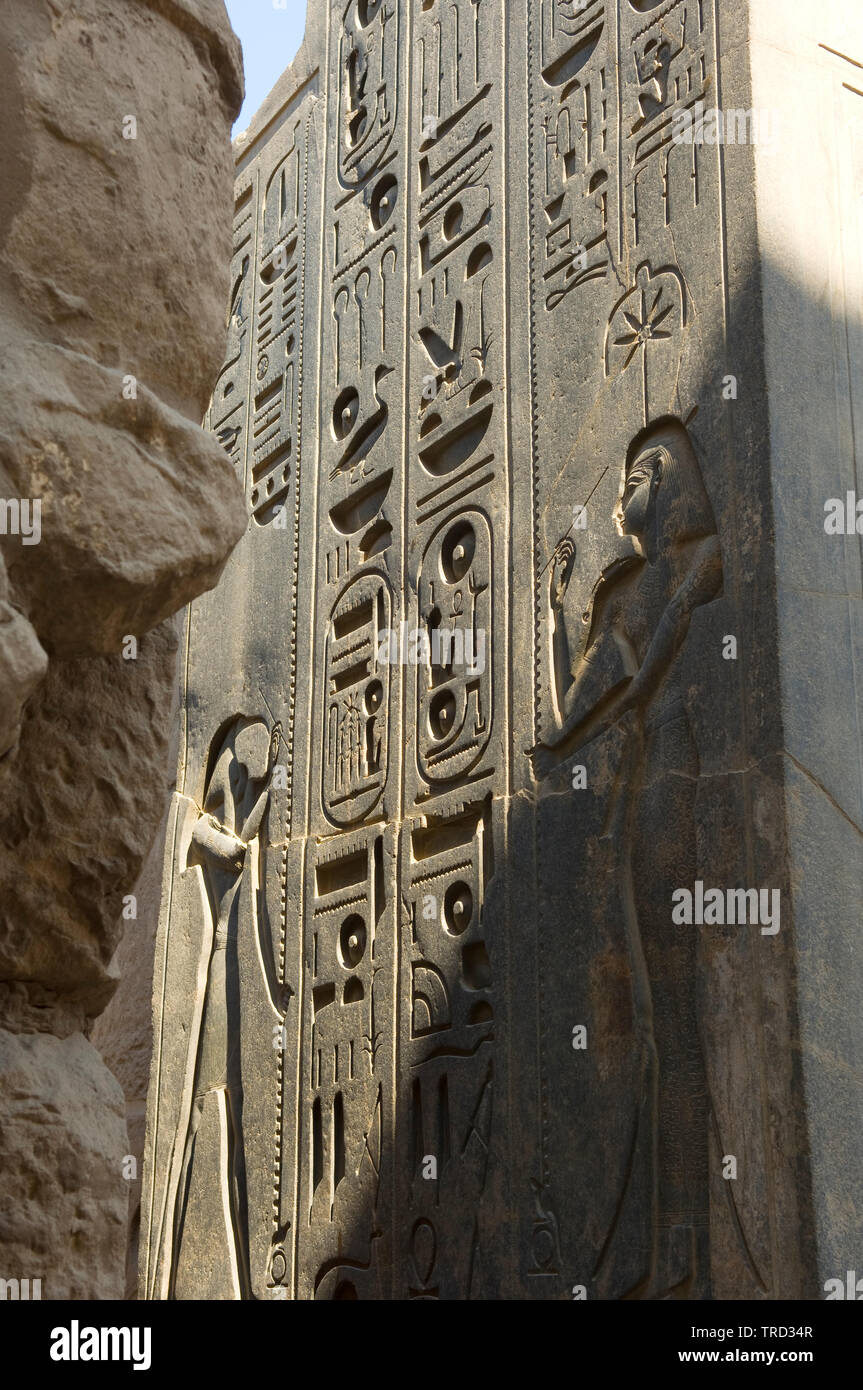 Clear crisp heiroglyphs on the rear of a throne of a colossal seated ...