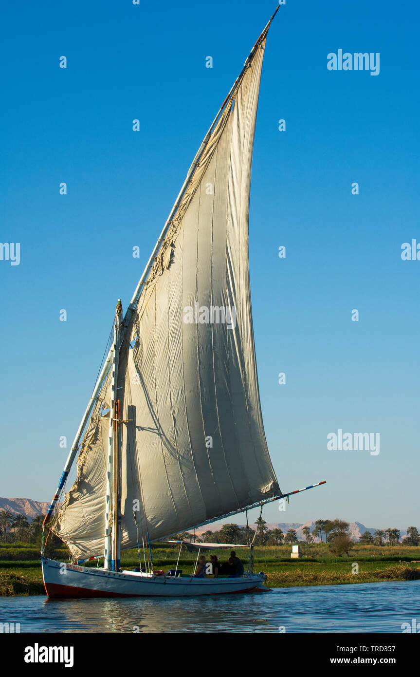 A felucca, a traditional wooden sail boat, on the River Nile at Luxor ...