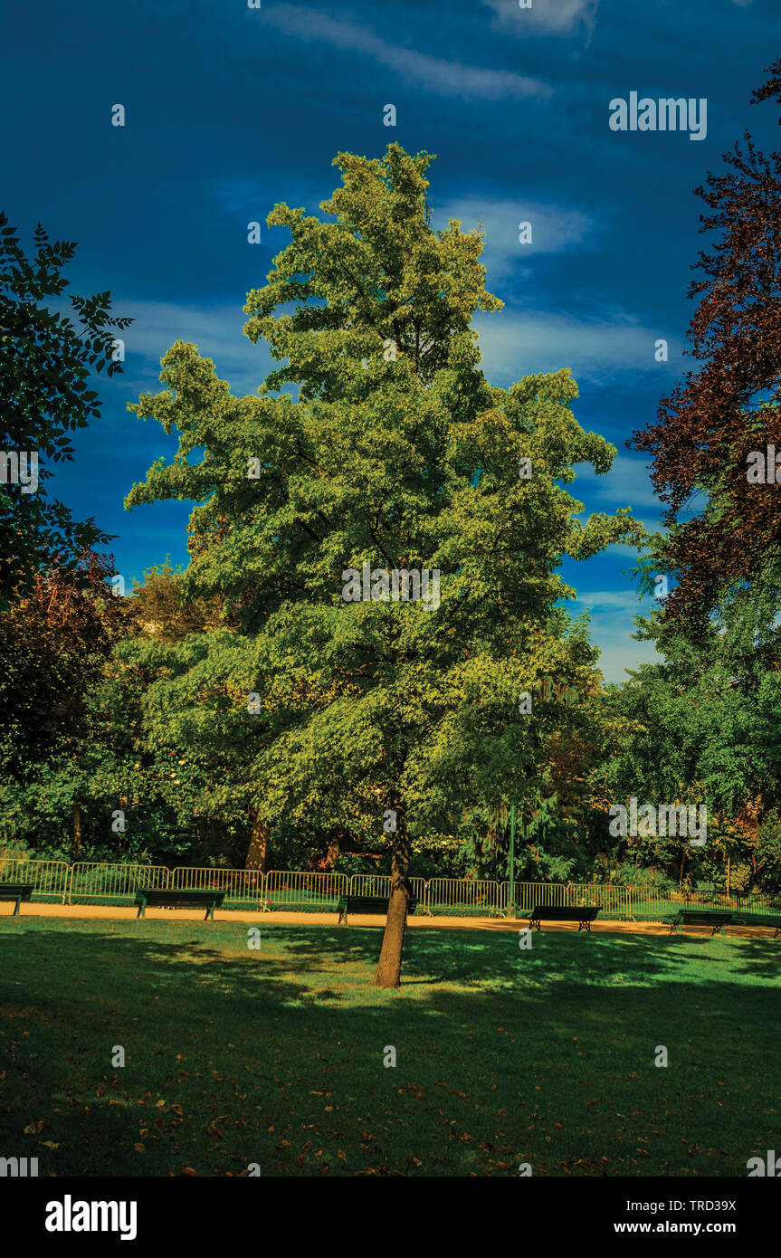 Gardens of the champs elysees hi-res stock photography and images - Alamy