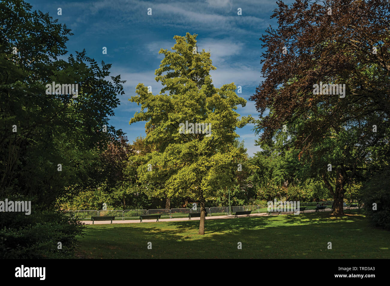View of gardens at the Champs-Elysees Avenue with trees, lawn and path ...