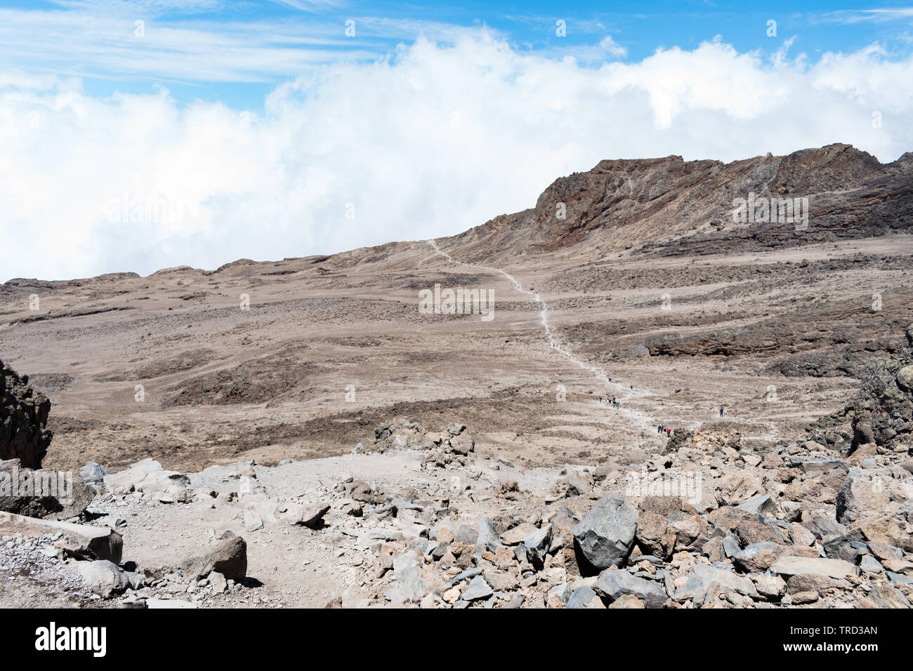 Desert zone hi-res stock photography and images - Alamy