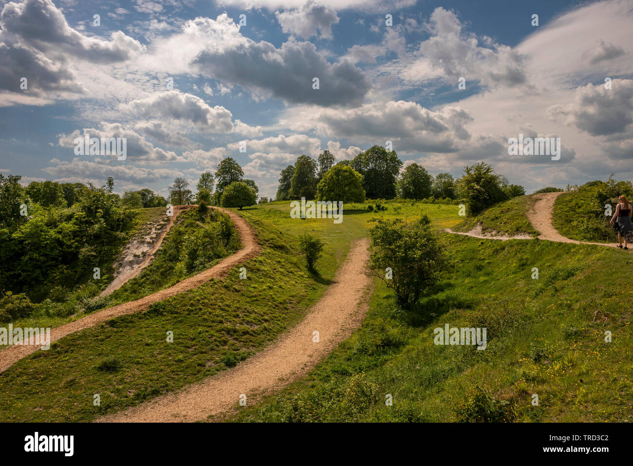 Danebury Iron Age Hill Fort Stock Photos & Danebury Iron Age Hill Fort ...