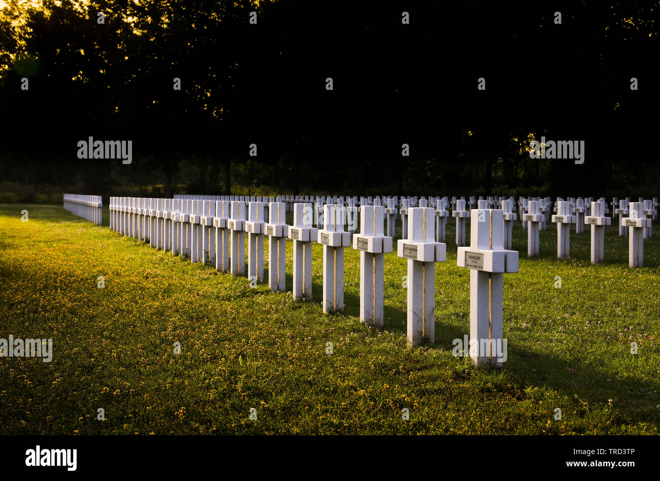 The white crosses marking the graves of French fallen from the First ...