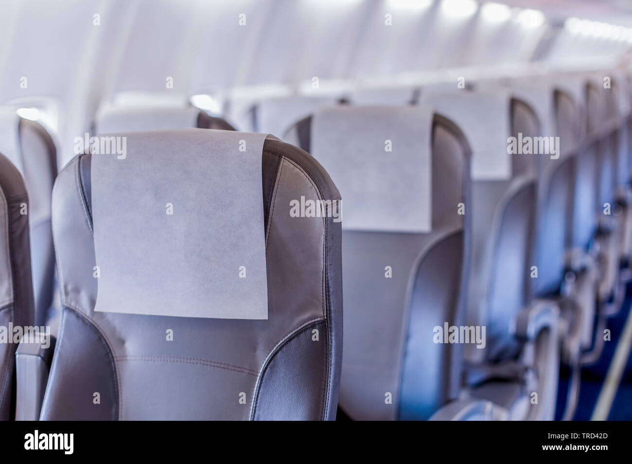 perspective view of empty aircraft seats and lights Stock Photo - Alamy