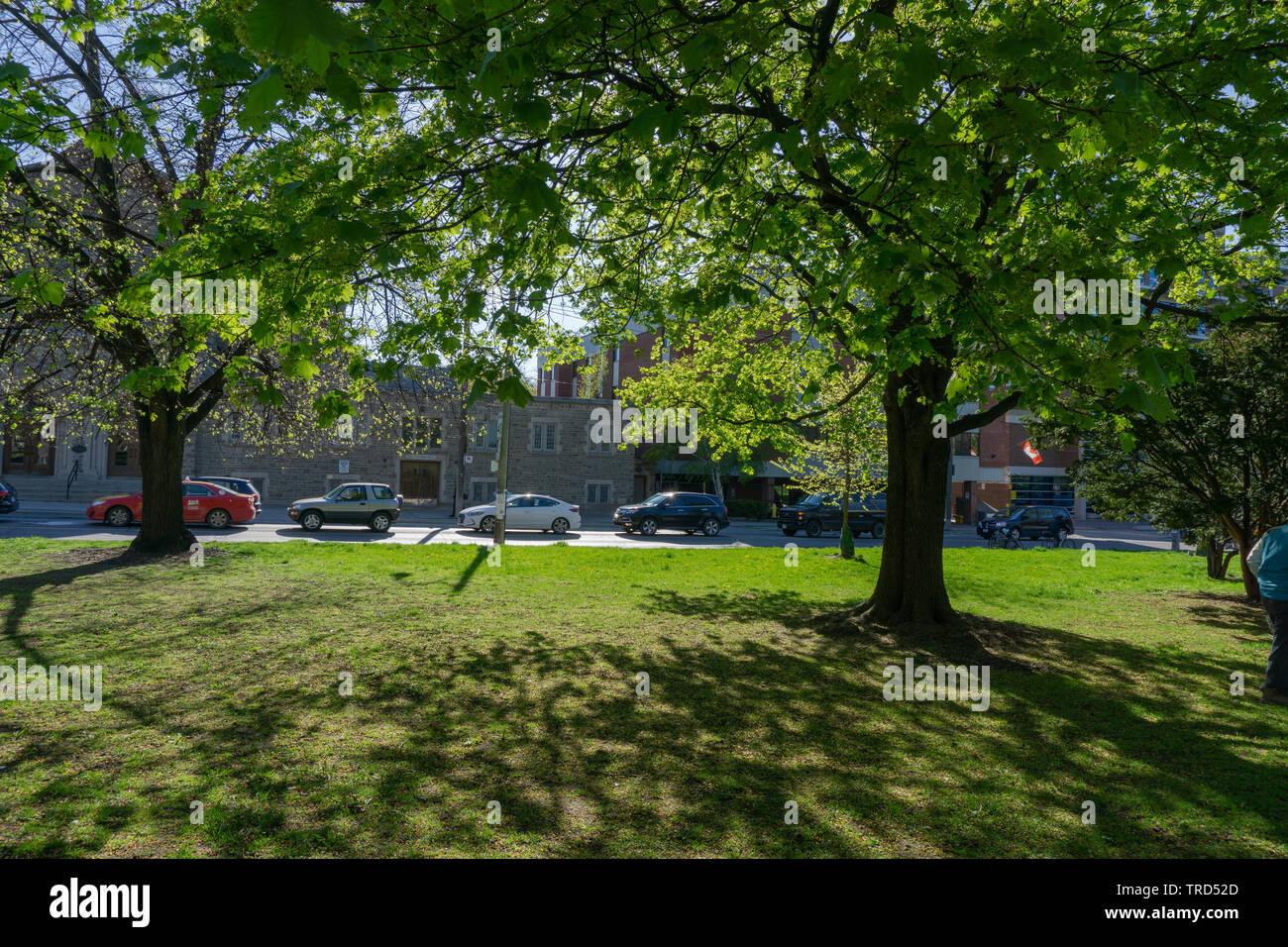 Allen Gardens is always a great place to visit and relax in Toronto ...